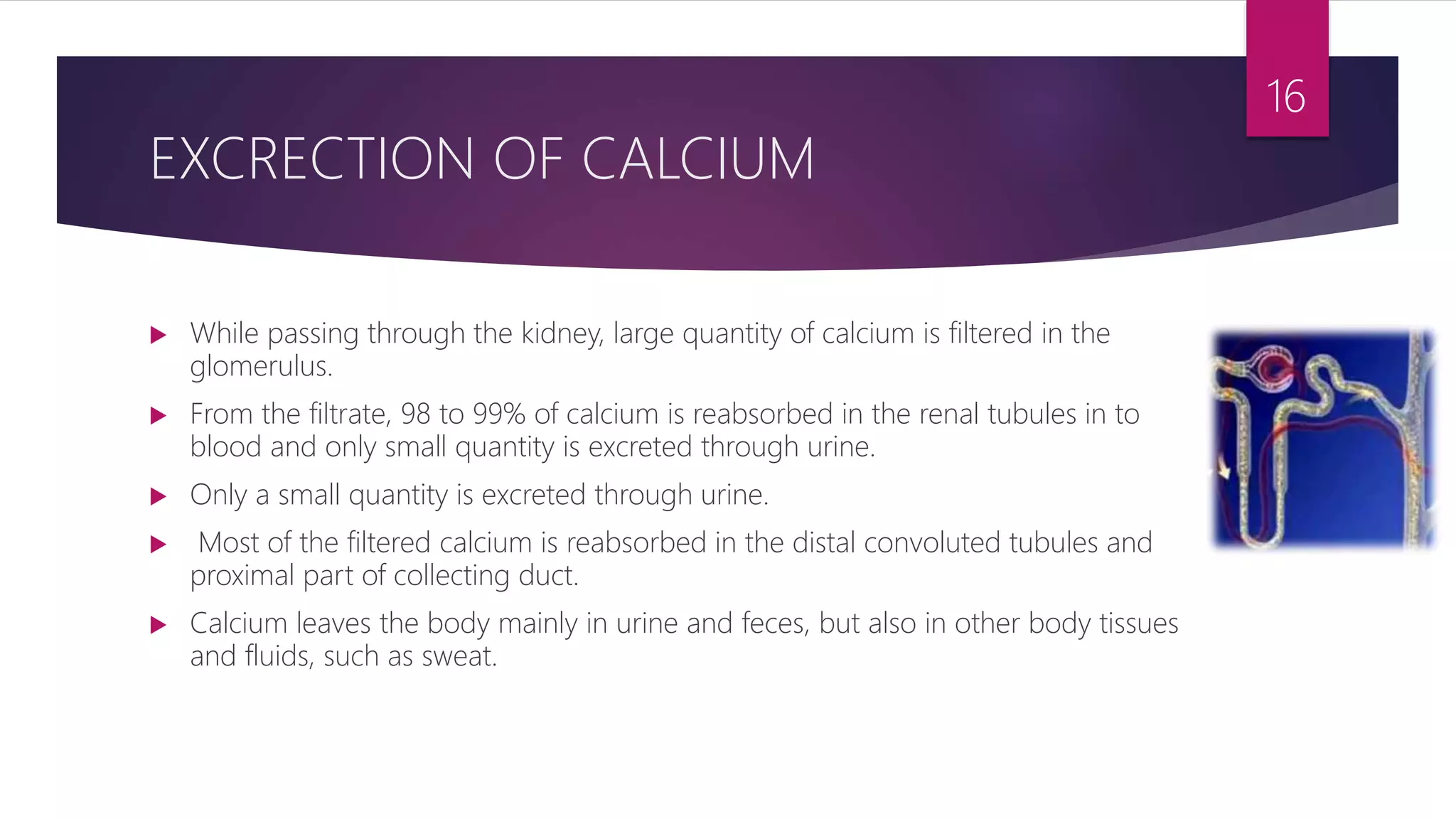 calcium and oral health | PPTX