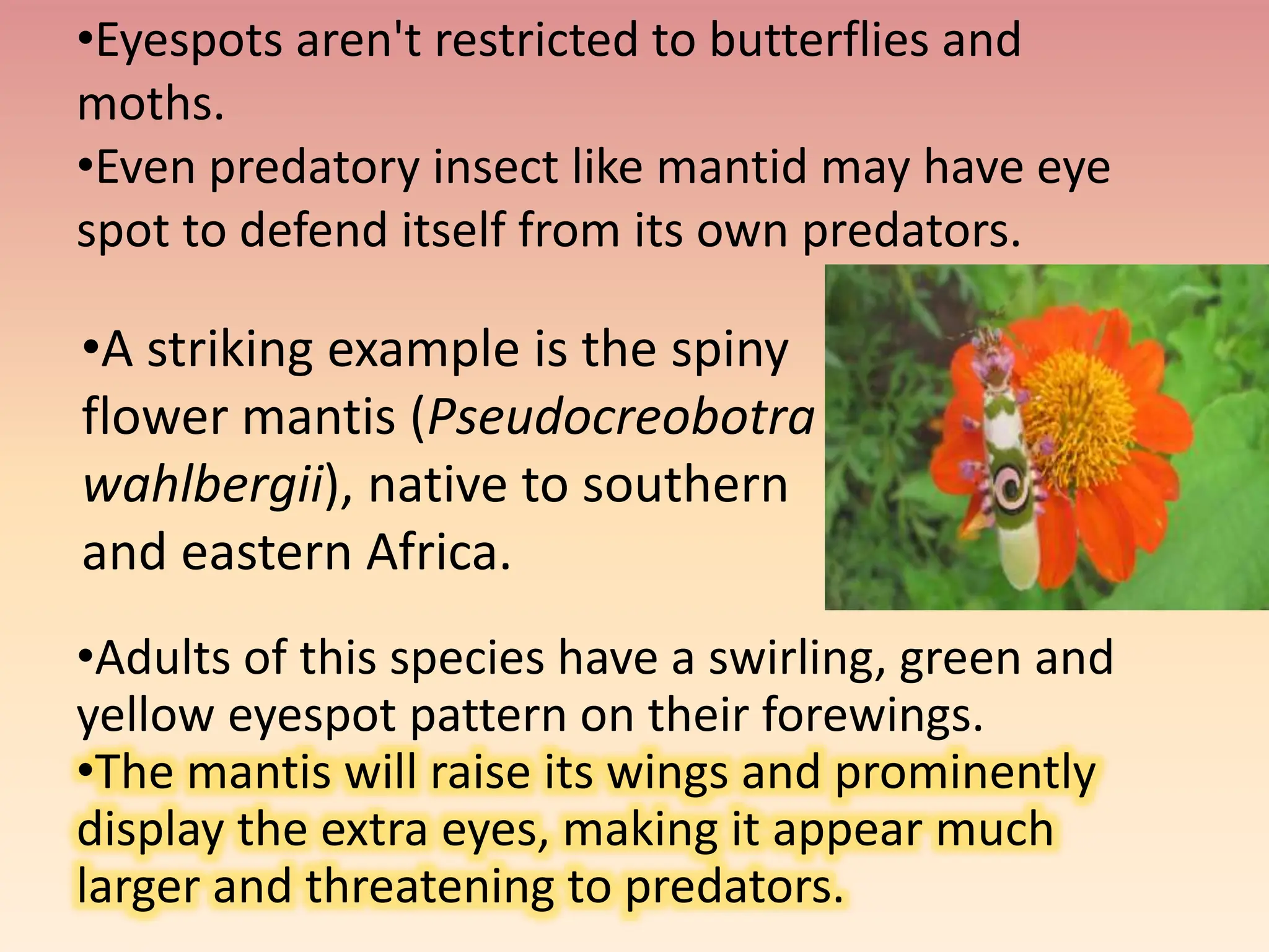 Role of Camouflage, mimicry and warning colours in insect defence.pptx