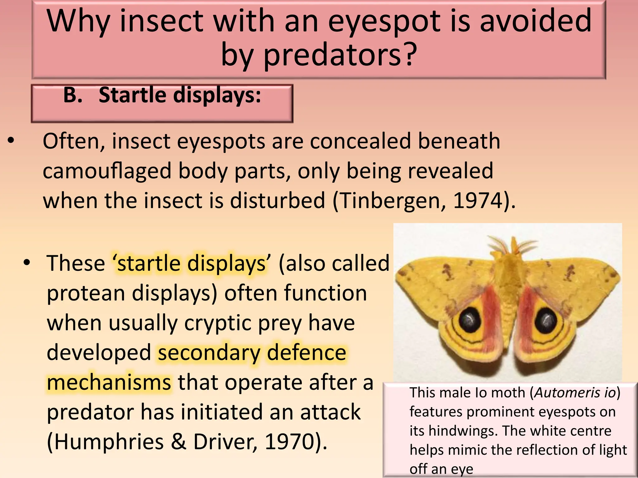 Role of Camouflage, mimicry and warning colours in insect defence.pptx