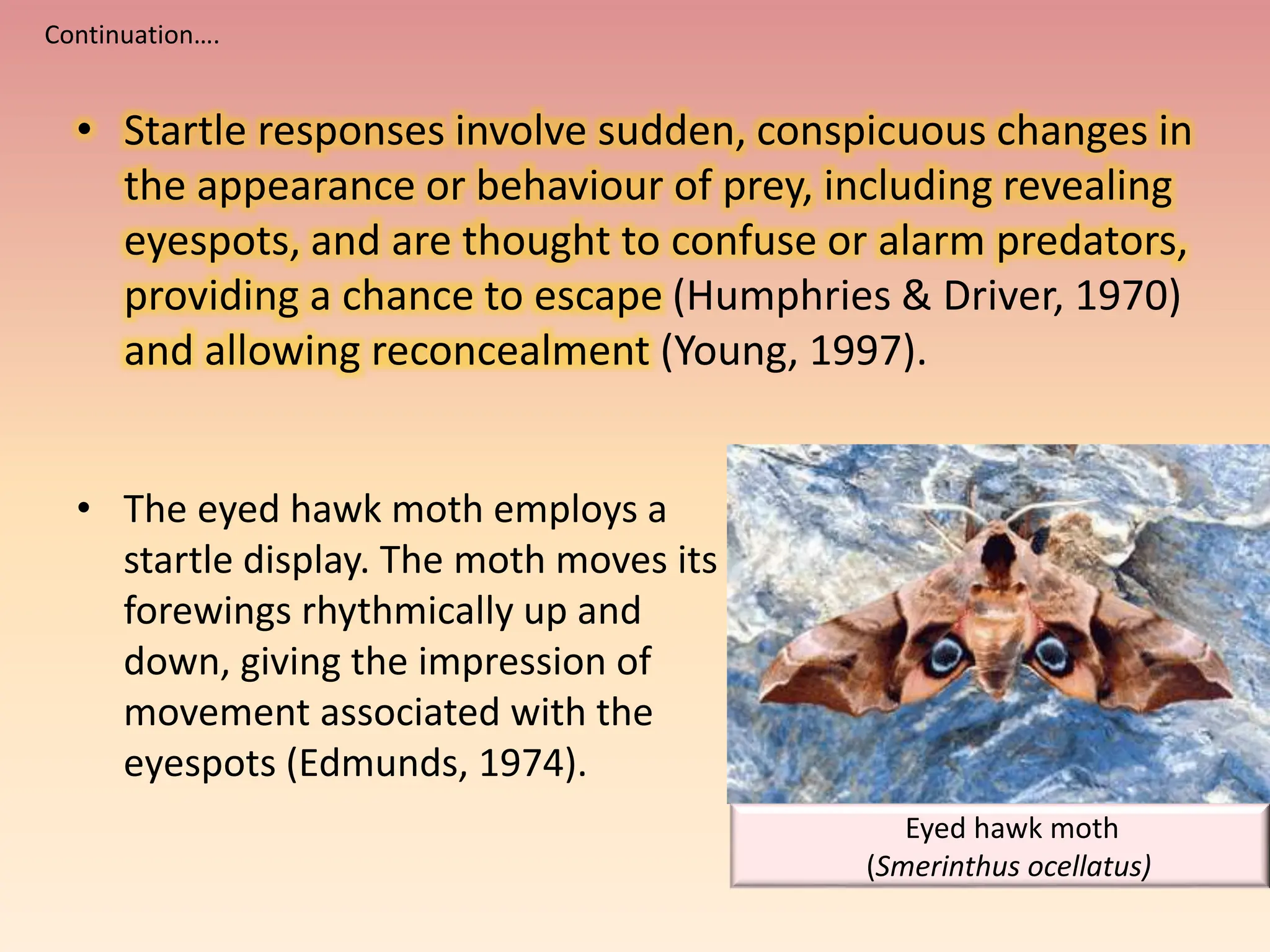 Role of Camouflage, mimicry and warning colours in insect defence.pptx