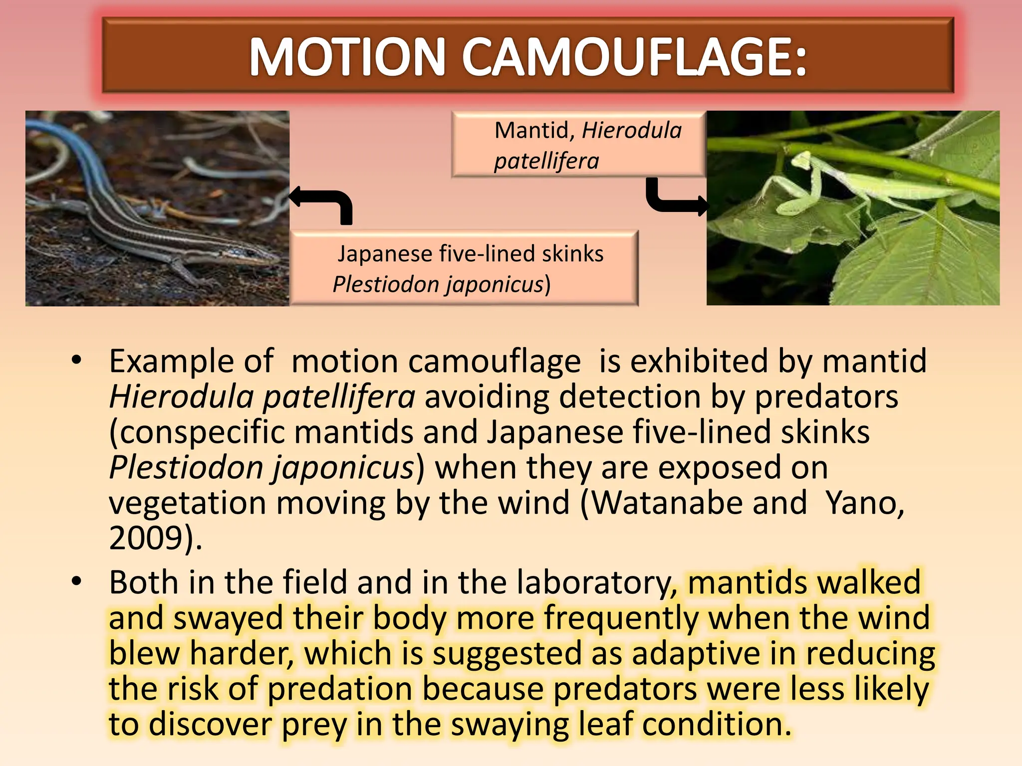 Role of Camouflage, mimicry and warning colours in insect defence.pptx