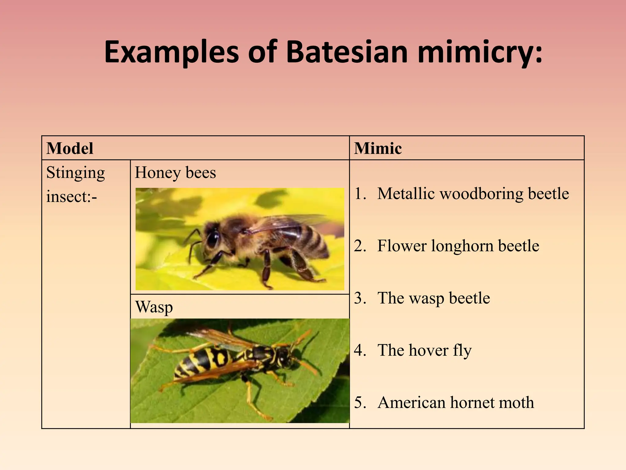 Role of Camouflage, mimicry and warning colours in insect defence.pptx