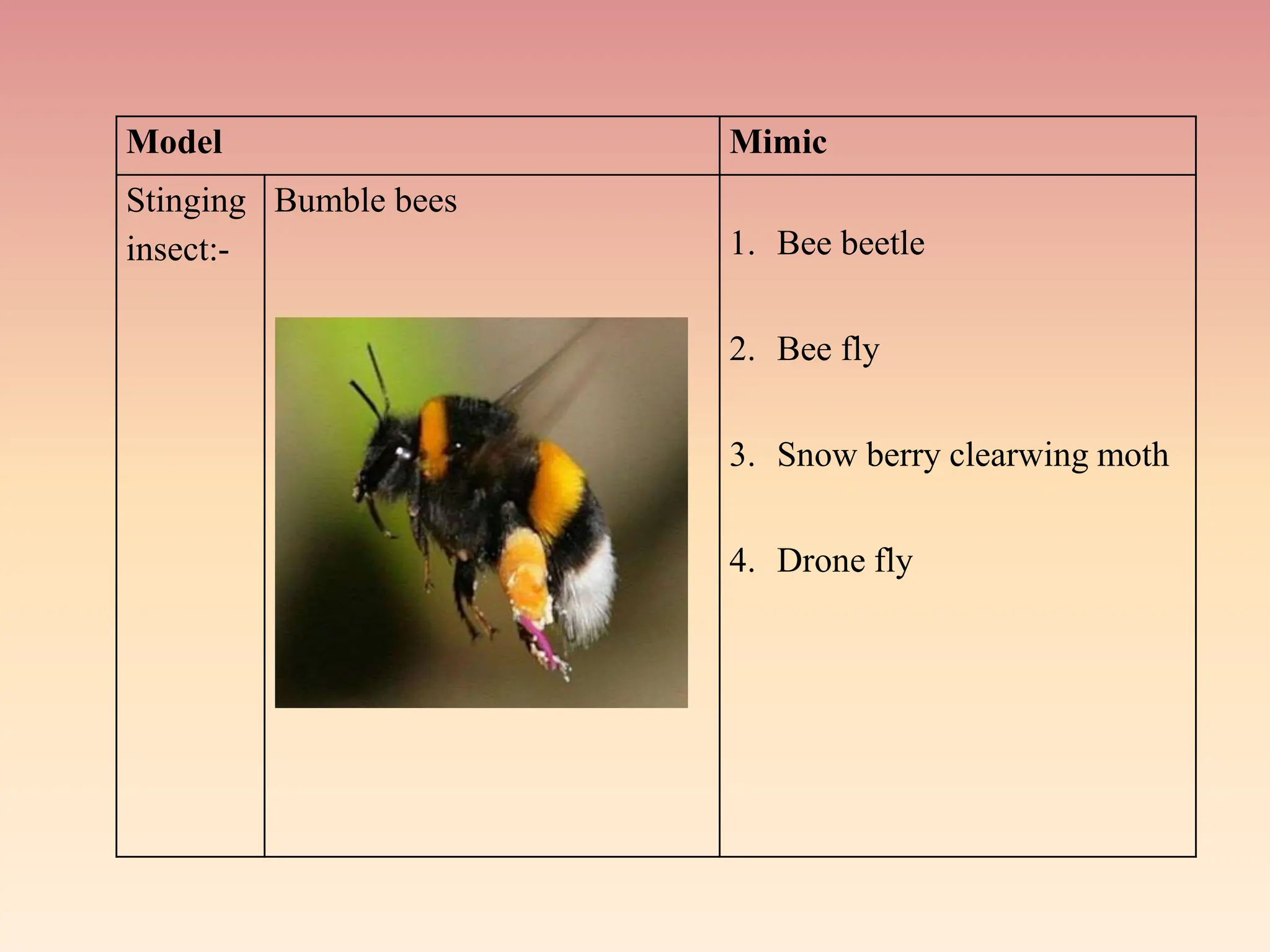 Role of Camouflage, mimicry and warning colours in insect defence.pptx