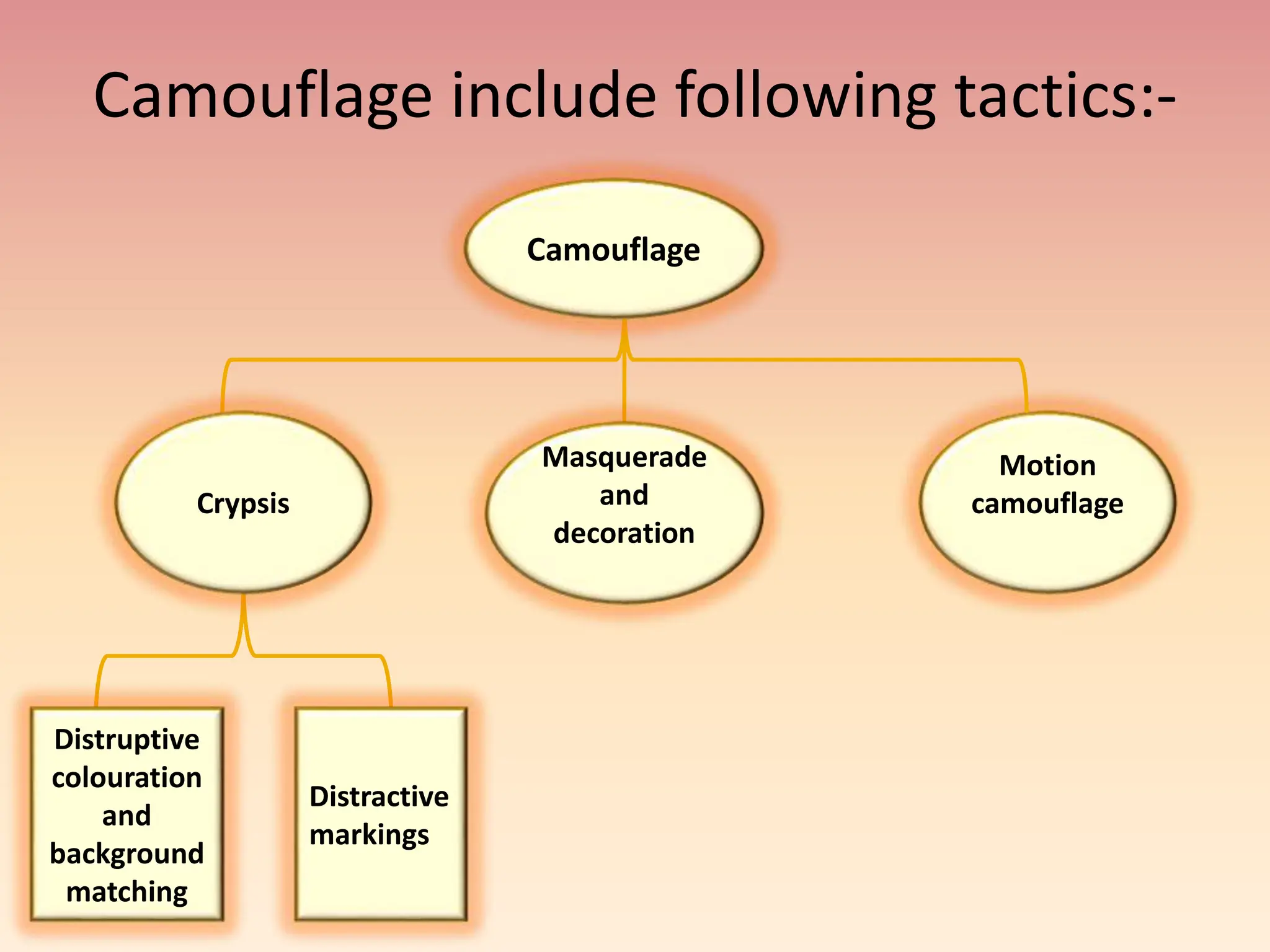 Role of Camouflage, mimicry and warning colours in insect defence.pptx
