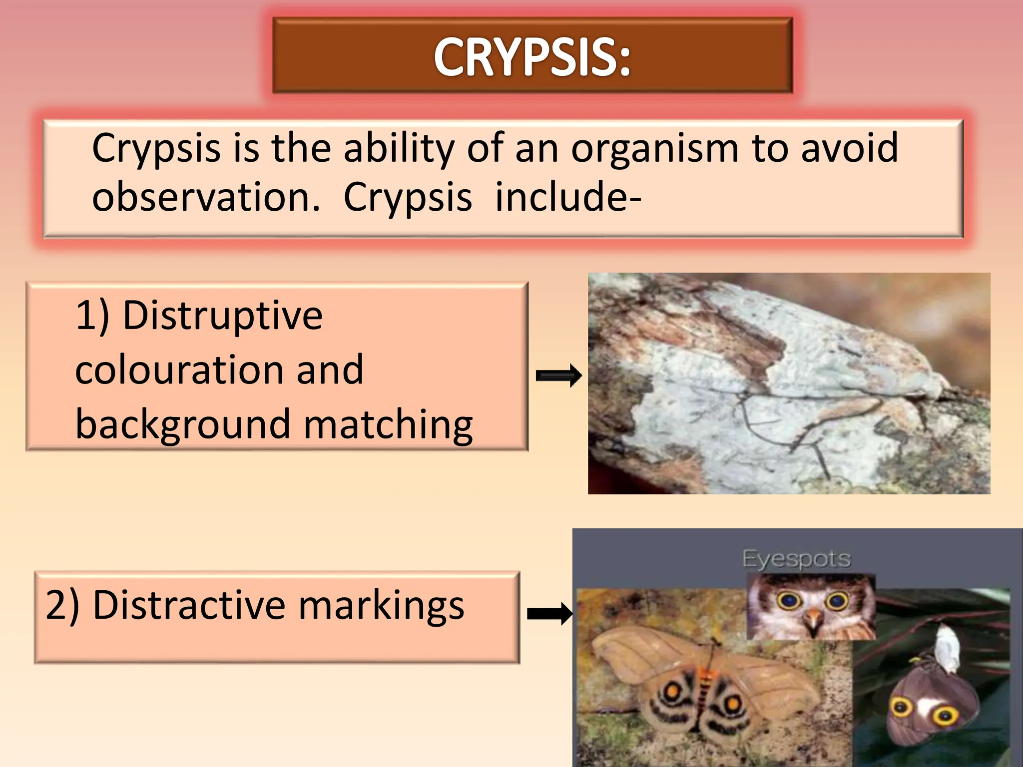 Role of Camouflage, mimicry and warning colours in insect defence.pptx