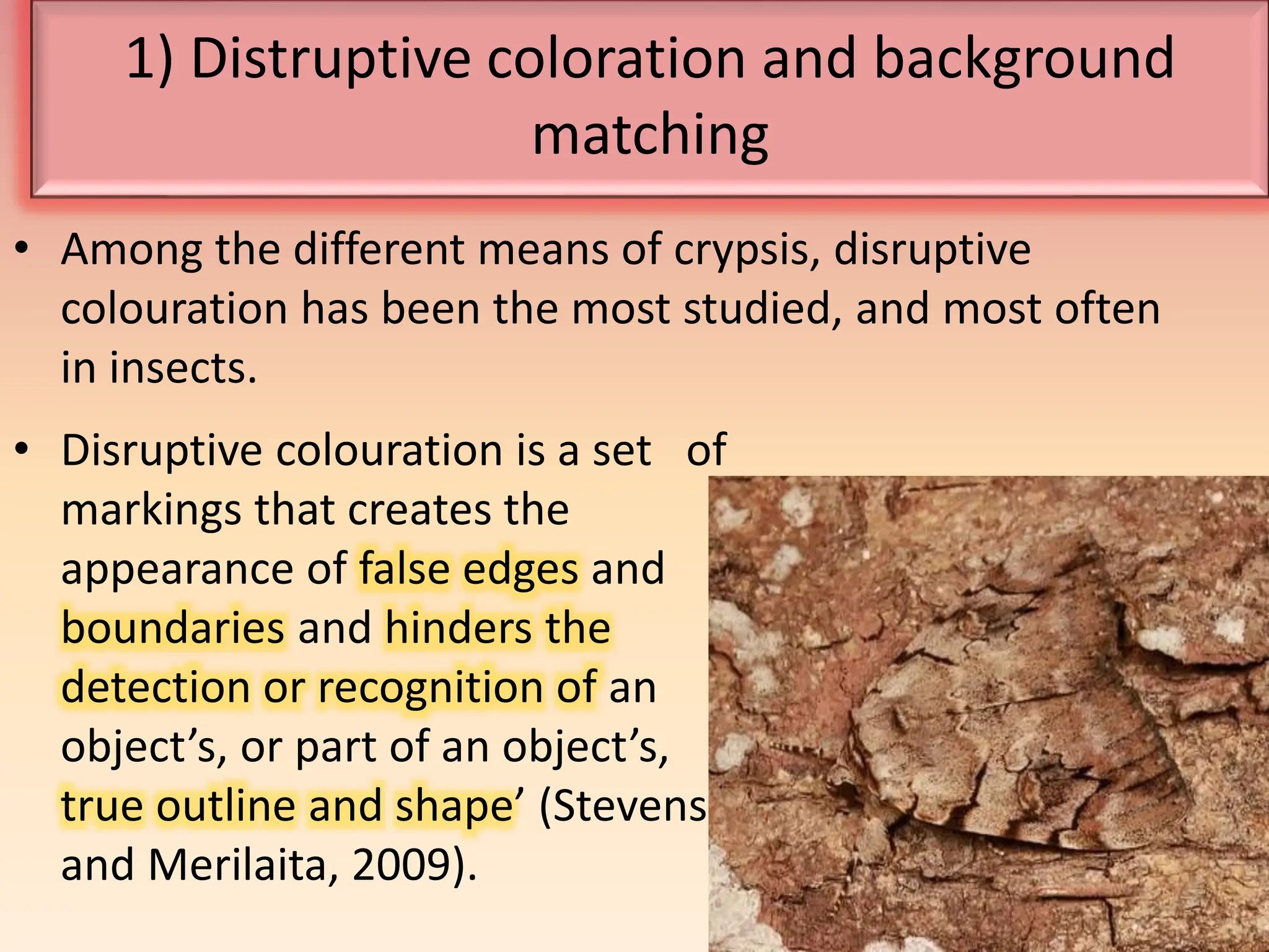 Role of Camouflage, mimicry and warning colours in insect defence.pptx