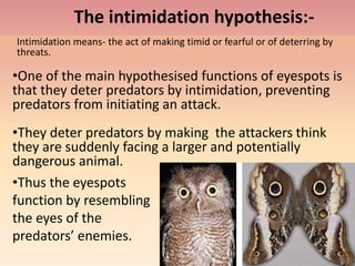 Role of Camouflage, mimicry and warning colours in insect defence.pptx