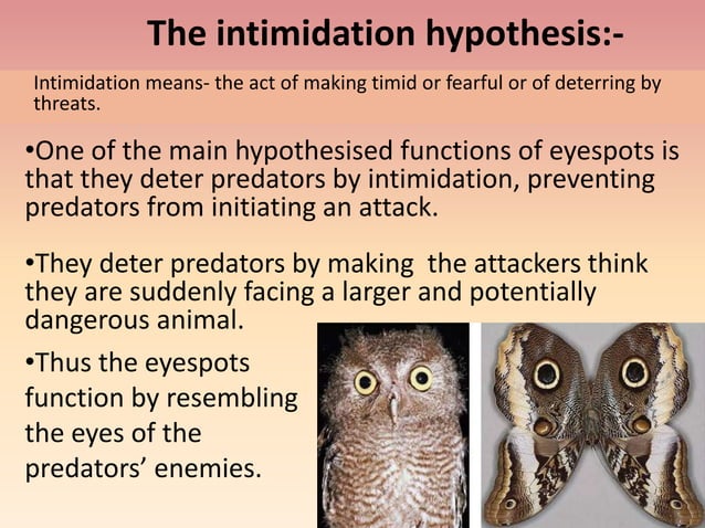 Role of Camouflage, mimicry and warning colours in insect defence.pptx ...