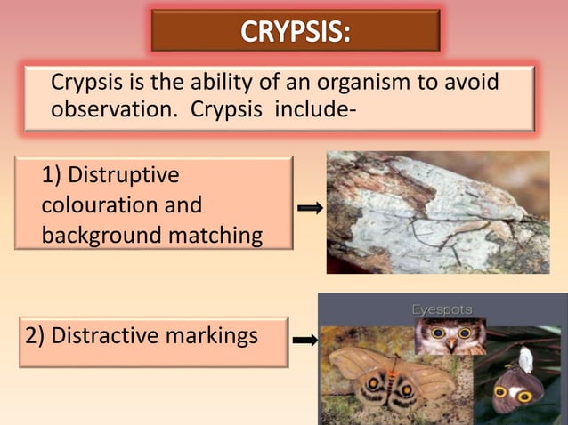 Role of Camouflage, mimicry and warning colours in insect defence.pptx ...