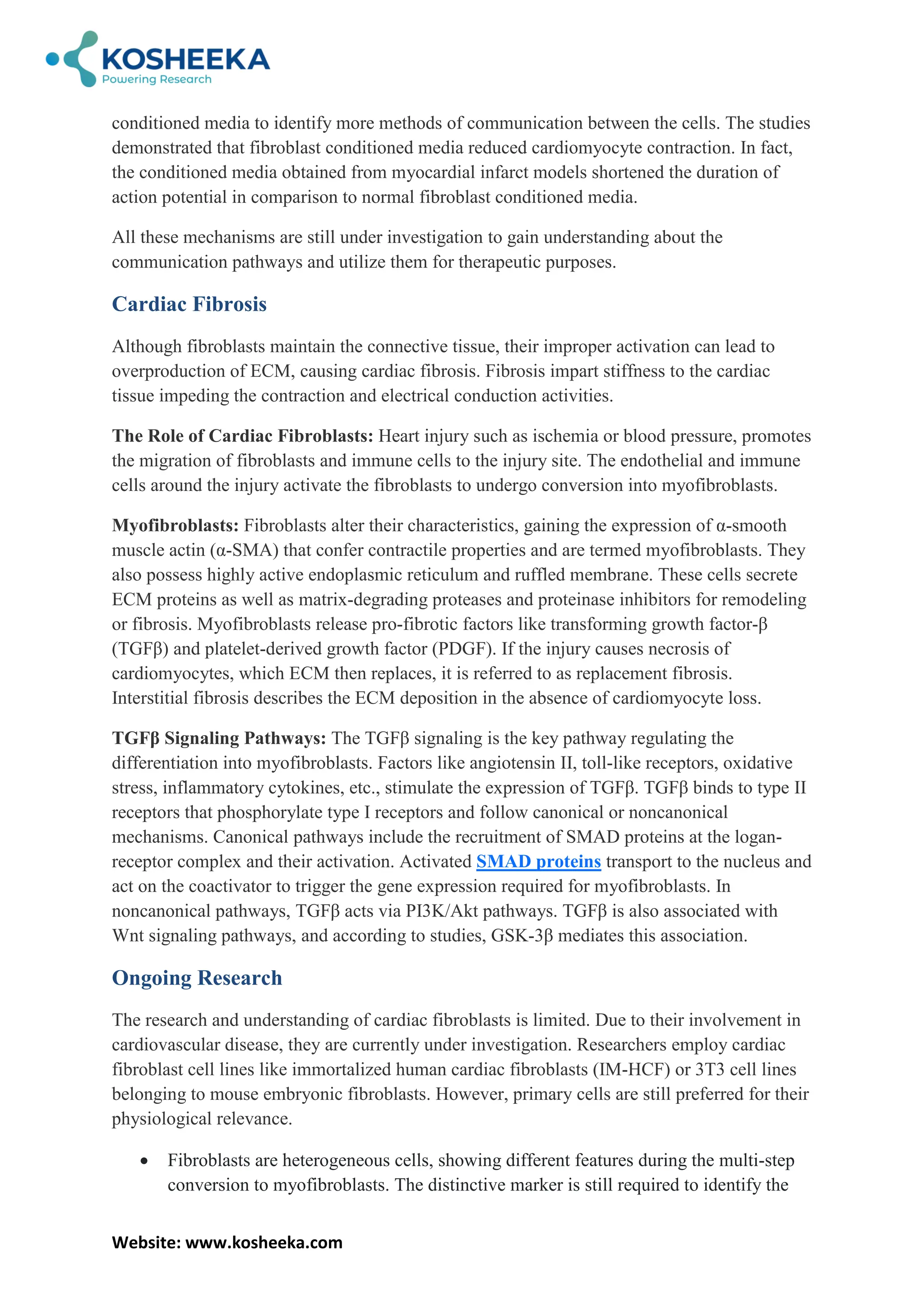 Role of Cardiac Fibroblasts in Cardiac Functioning and Fibrosis | PDF