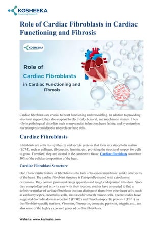Role of Cardiac Fibroblasts in Cardiac Functioning and Fibrosis | PDF