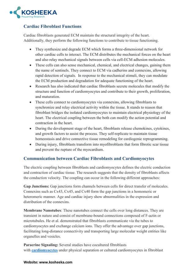 Role of Cardiac Fibroblasts in Cardiac Functioning and Fibrosis | PDF