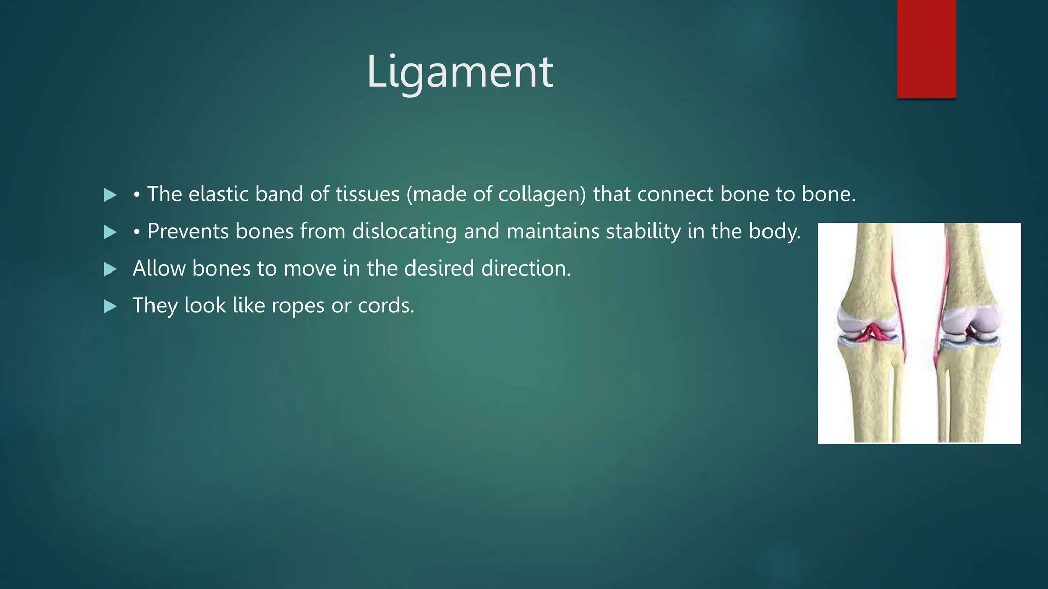 role of cartilage,ligament and blood.pptx