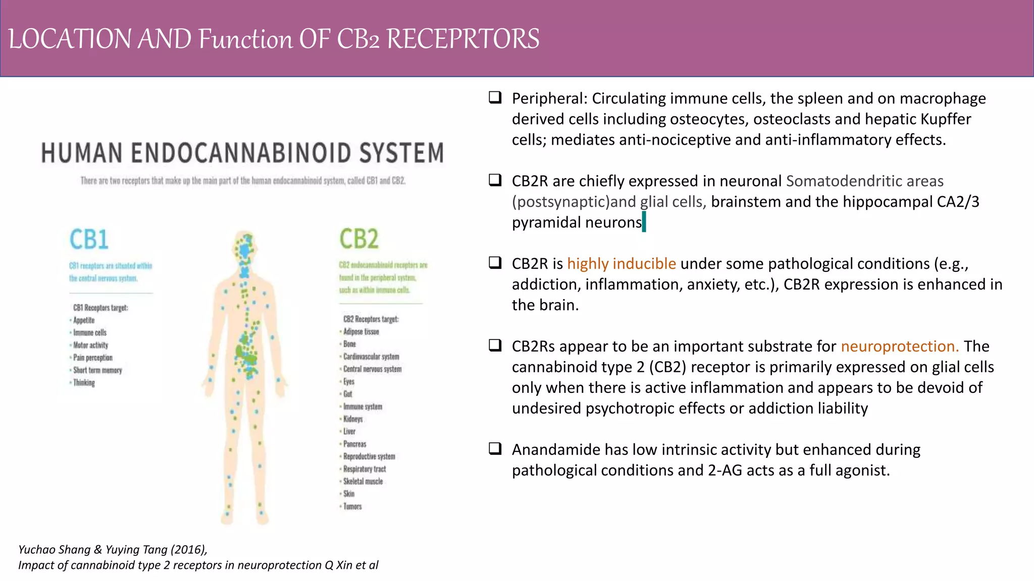Role of CB2 Receptors In Pain and Inflammation.pptx