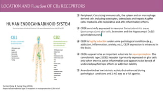Role of CB2 Receptors In Pain and Inflammation.pptx