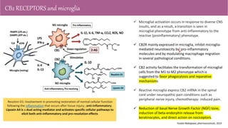 Role of CB2 Receptors In Pain and Inflammation.pptx