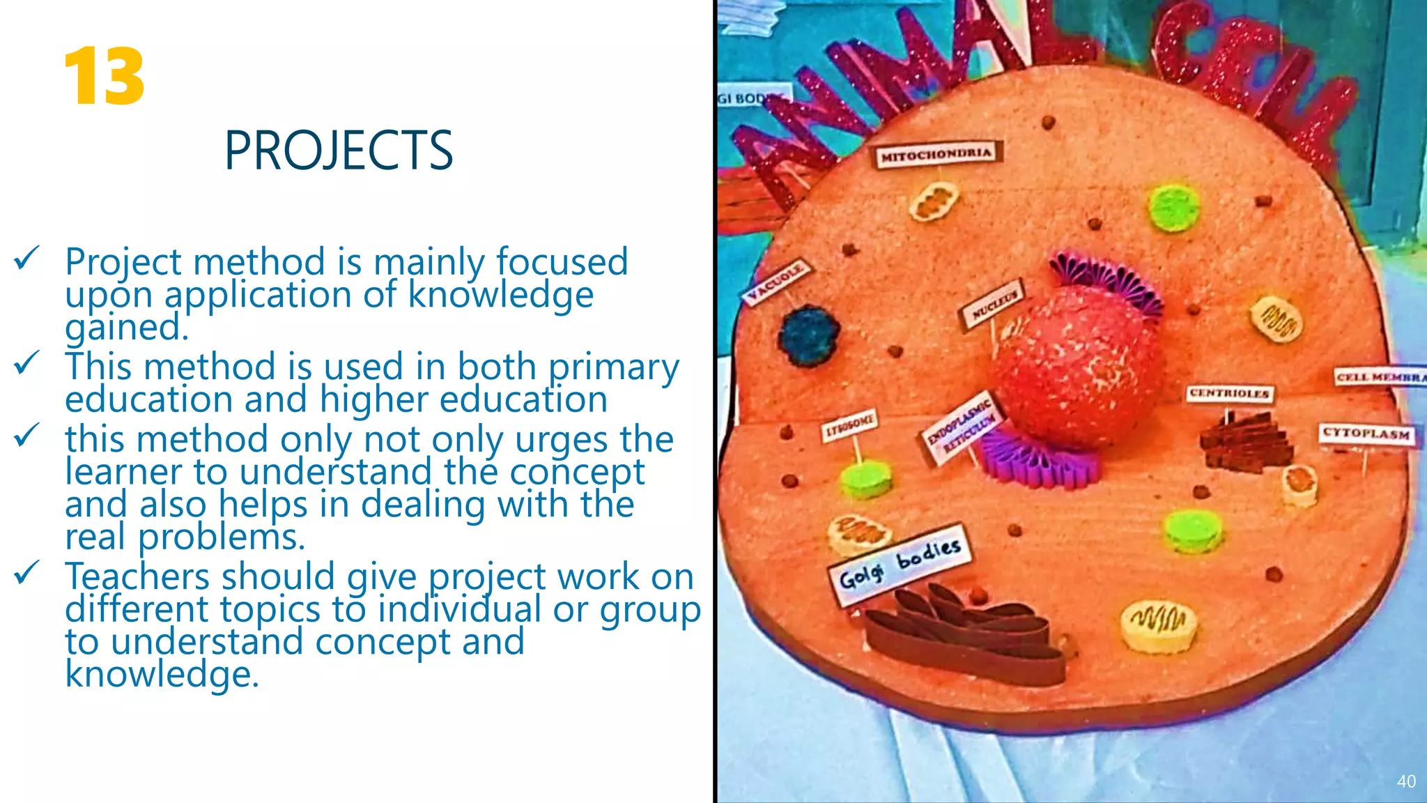 role of concept based teaching & teaching methodologies.pptx | Primary Education | Education