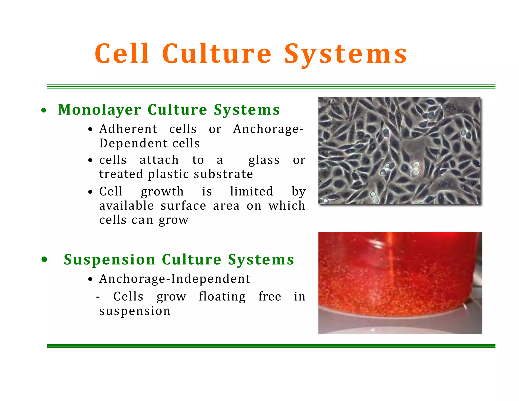 Role of cell culture technology in new vaccine.pptx