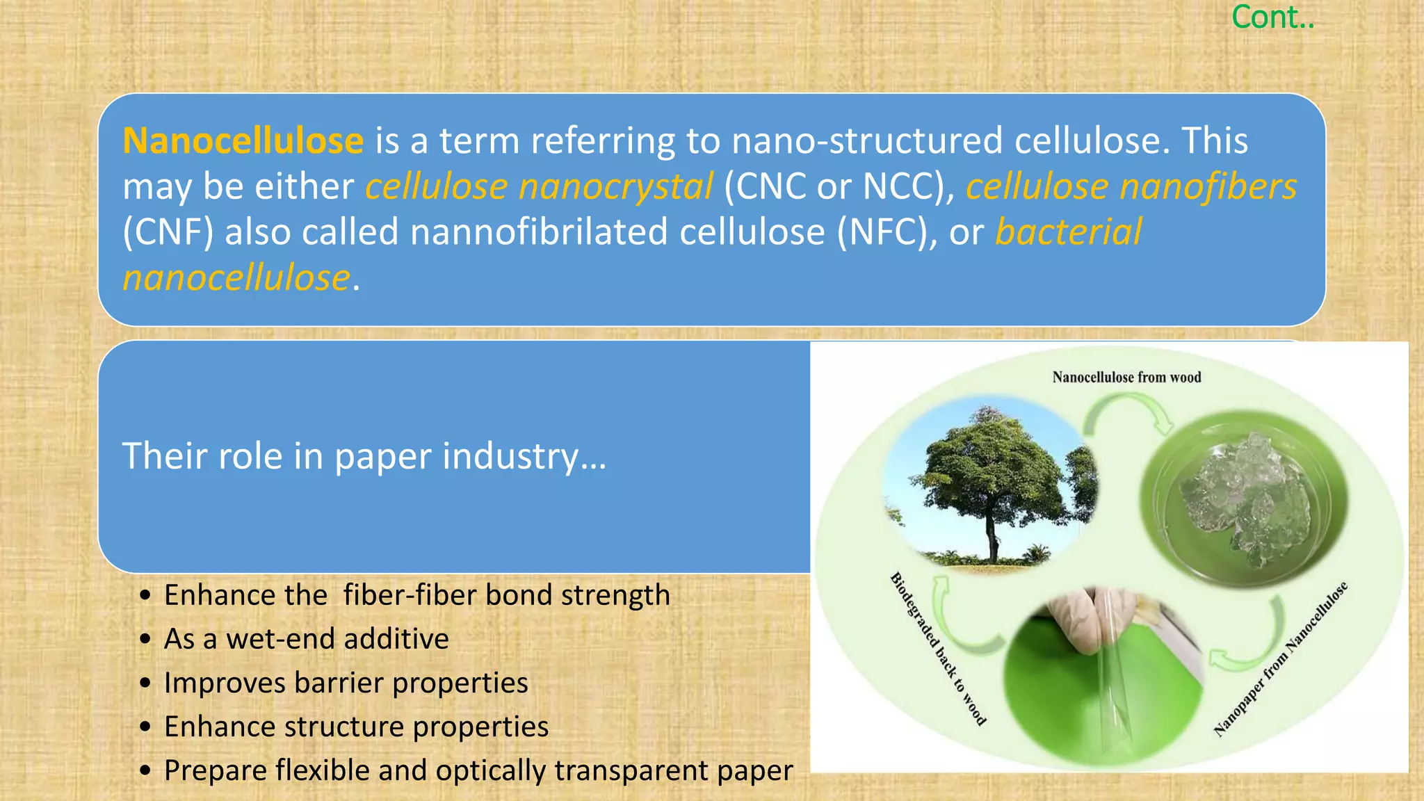 Role of cellulose in paper industry | PPTX
