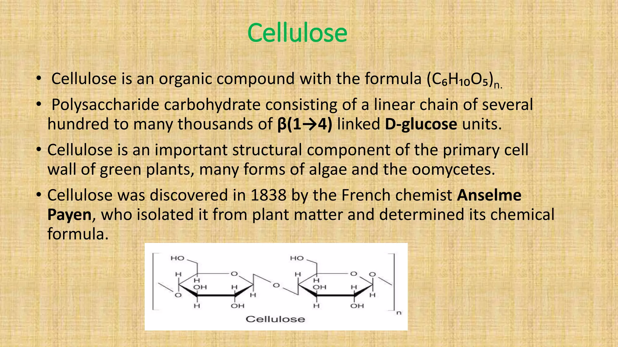 Role of cellulose in paper industry | PPTX | Woodworking | Arts and Crafts