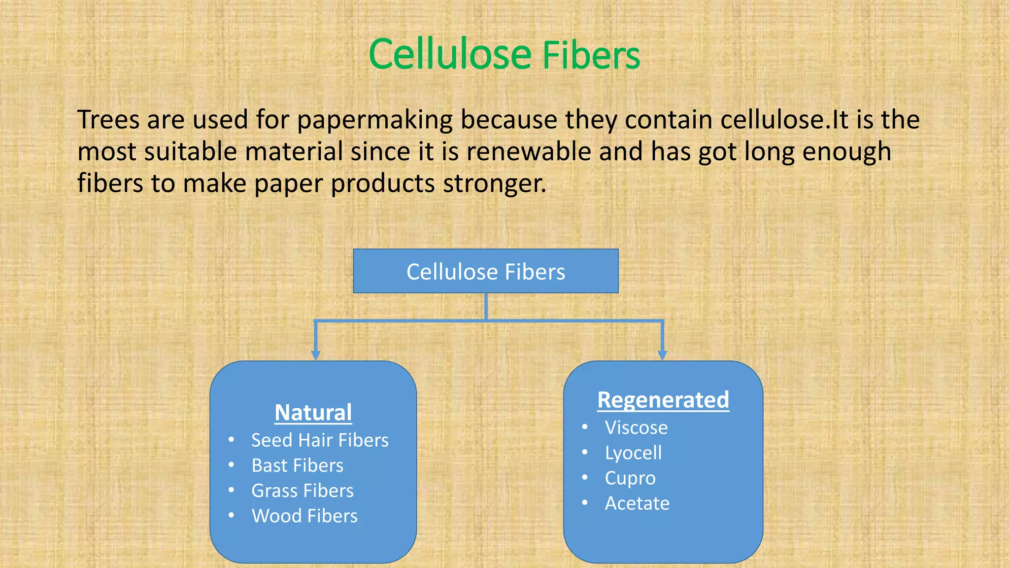Role of cellulose in paper industry | PPTX | Woodworking | Arts and Crafts