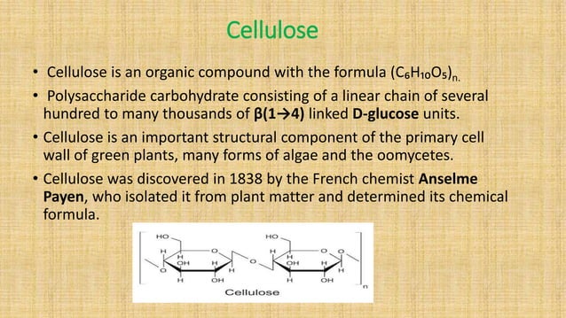 Role of cellulose in paper industry | PPTX | Woodworking | Arts and Crafts