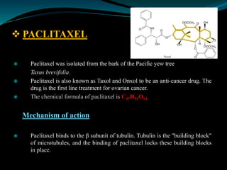 Role of chemotherapy in ovarian cancer | PPTX