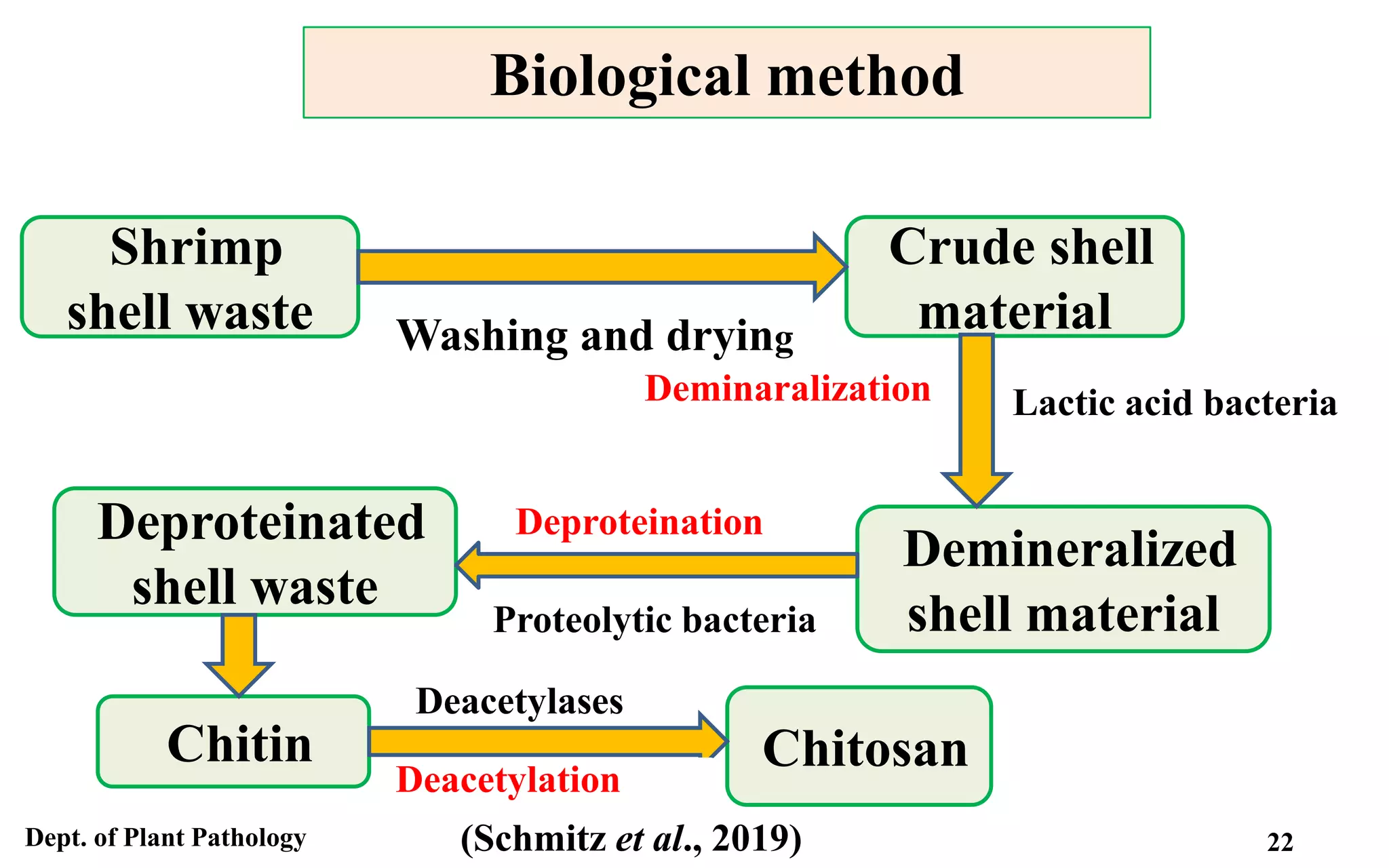 Role of chitosan in post harvest disease management.pptx