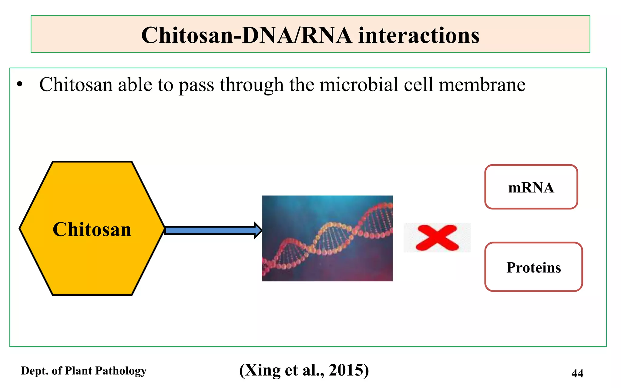 Role of chitosan in post harvest disease management.pptx