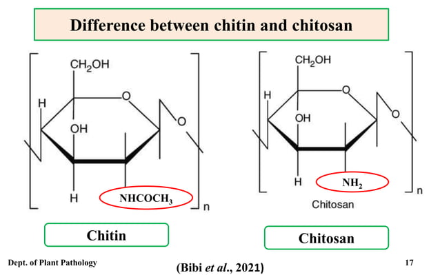 Role of chitosan in post harvest disease management.pptx