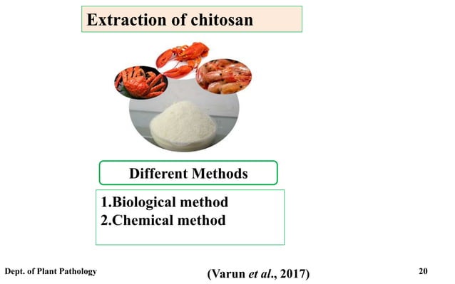 Role of chitosan in post harvest disease management.pptx
