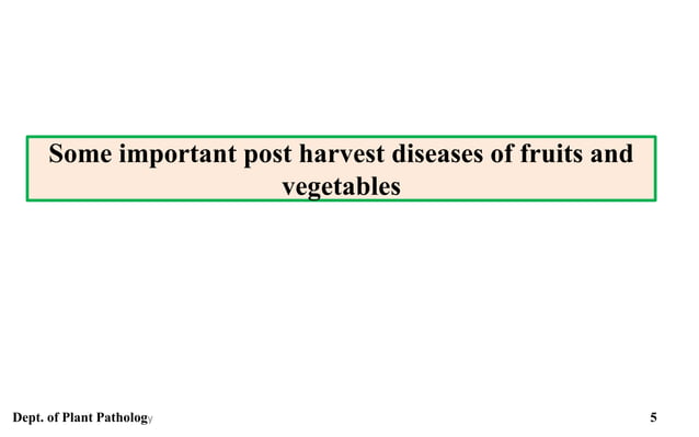 Role of chitosan in post harvest disease management.pptx