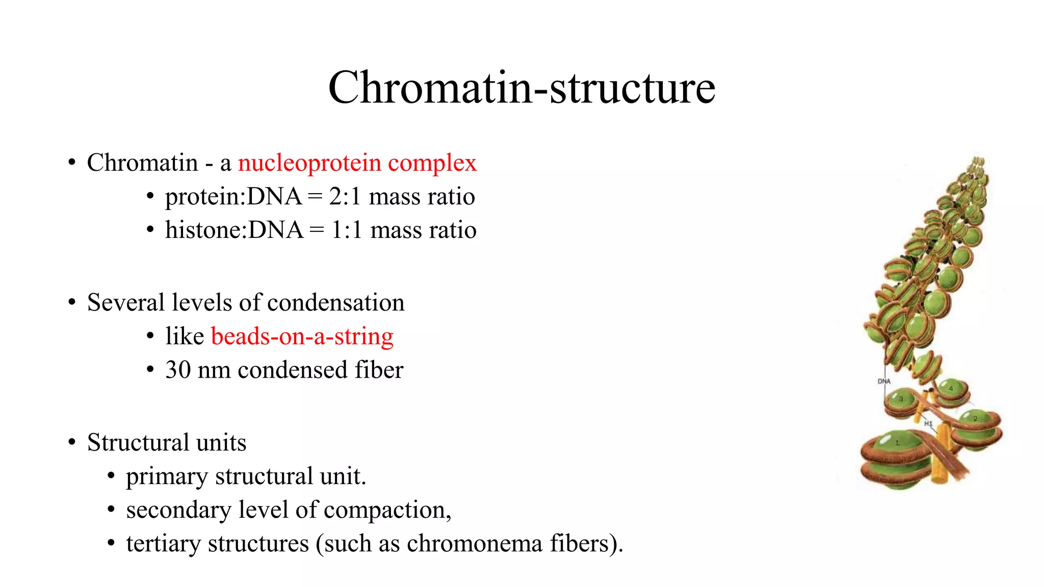 Role of Chromatin in Cancer | PPTX