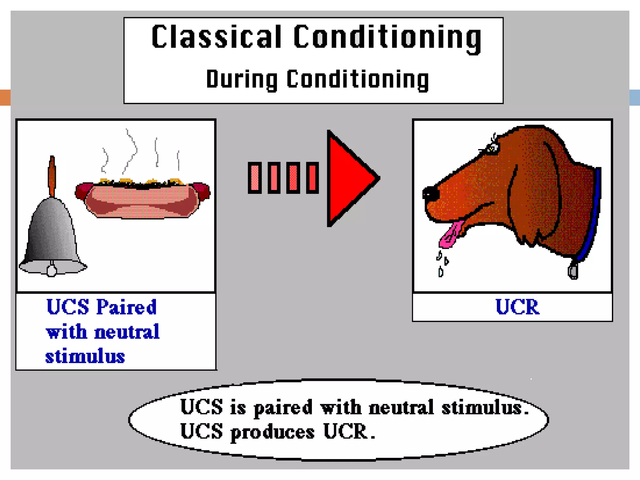 Role of classical conditioning in advertisement | PPTX