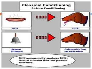 Role of classical conditioning in advertisement | PPTX