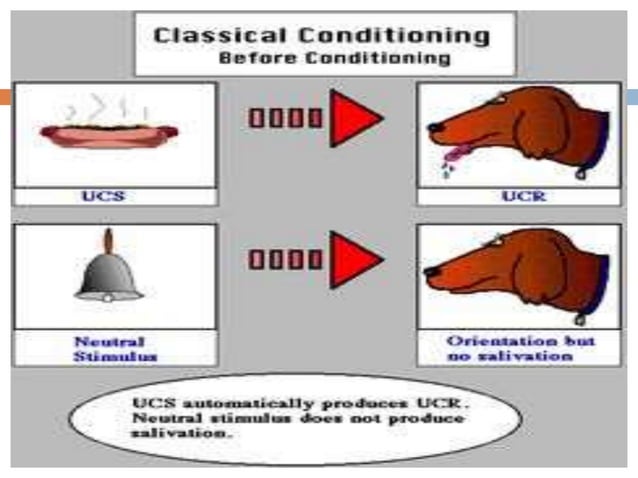 Role of classical conditioning in advertisement | PPTX | Advertising ...