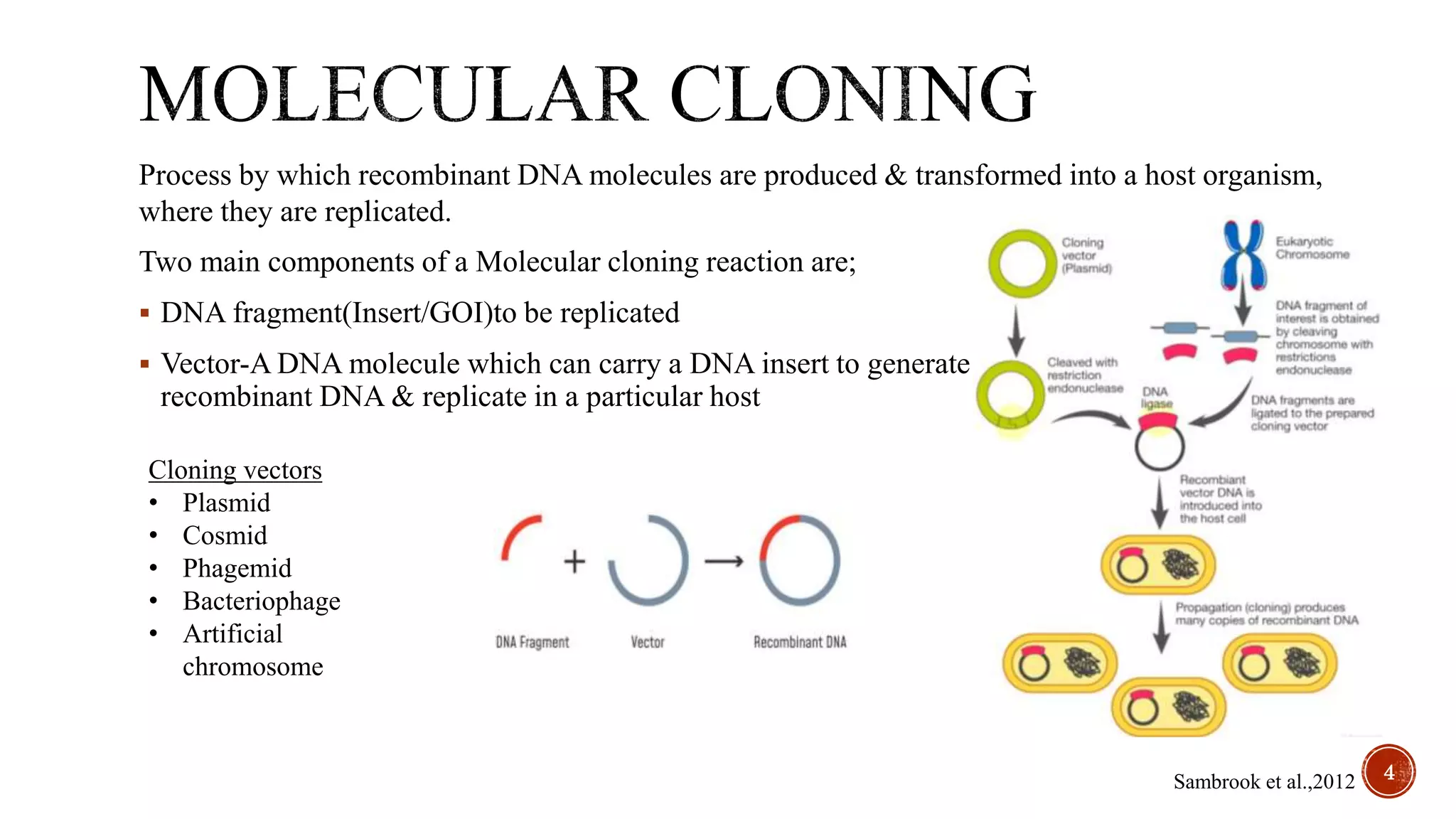 ROLE OF CLONING METHODS IN DRUG DISCOVERY.pptx