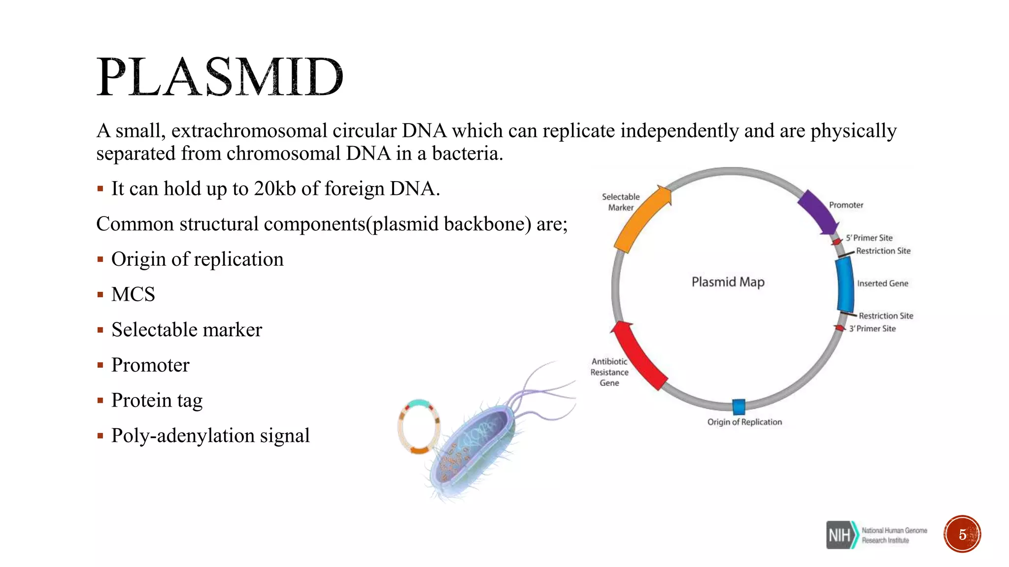 ROLE OF CLONING METHODS IN DRUG DISCOVERY.pptx