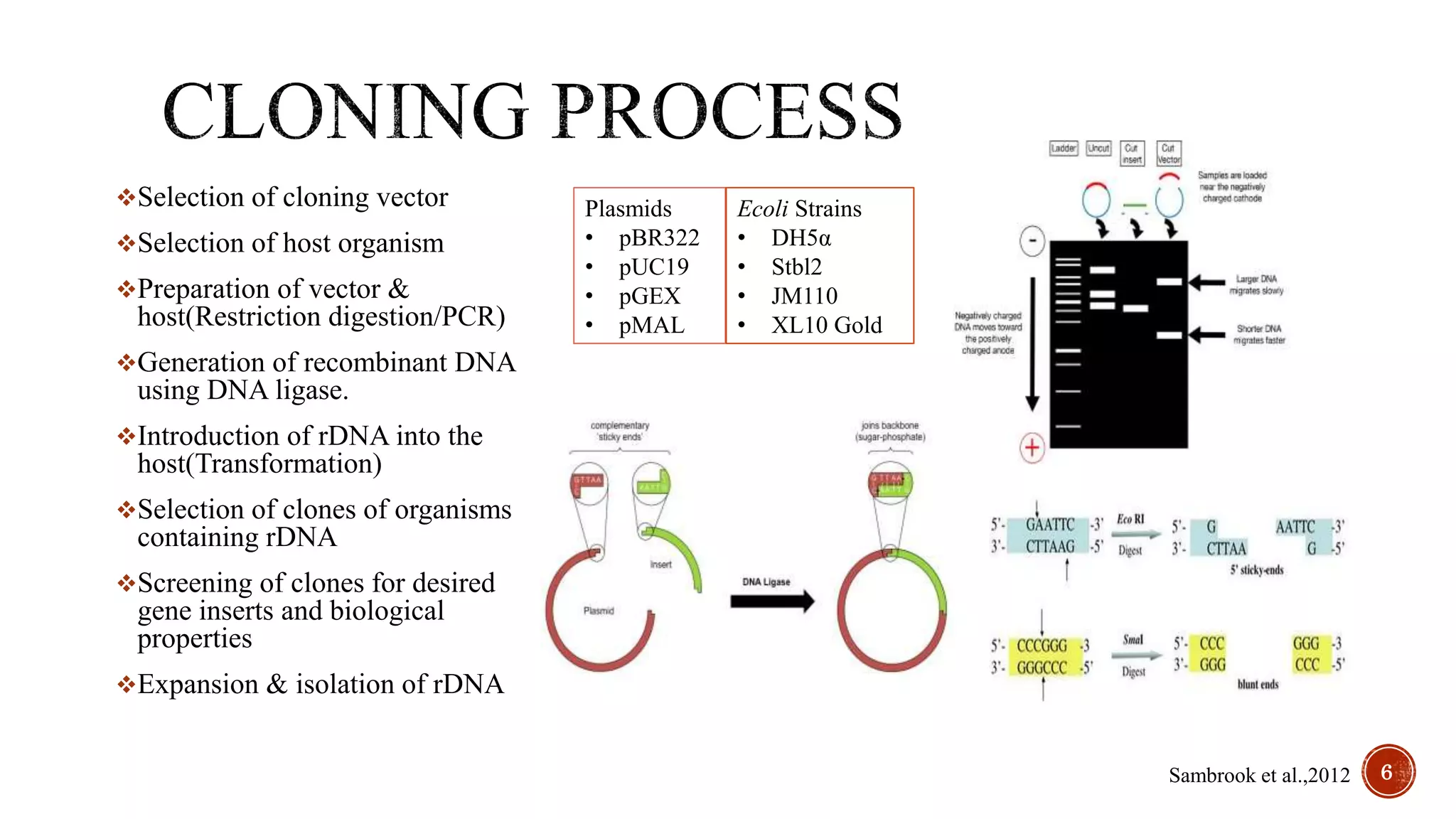 ROLE OF CLONING METHODS IN DRUG DISCOVERY.pptx