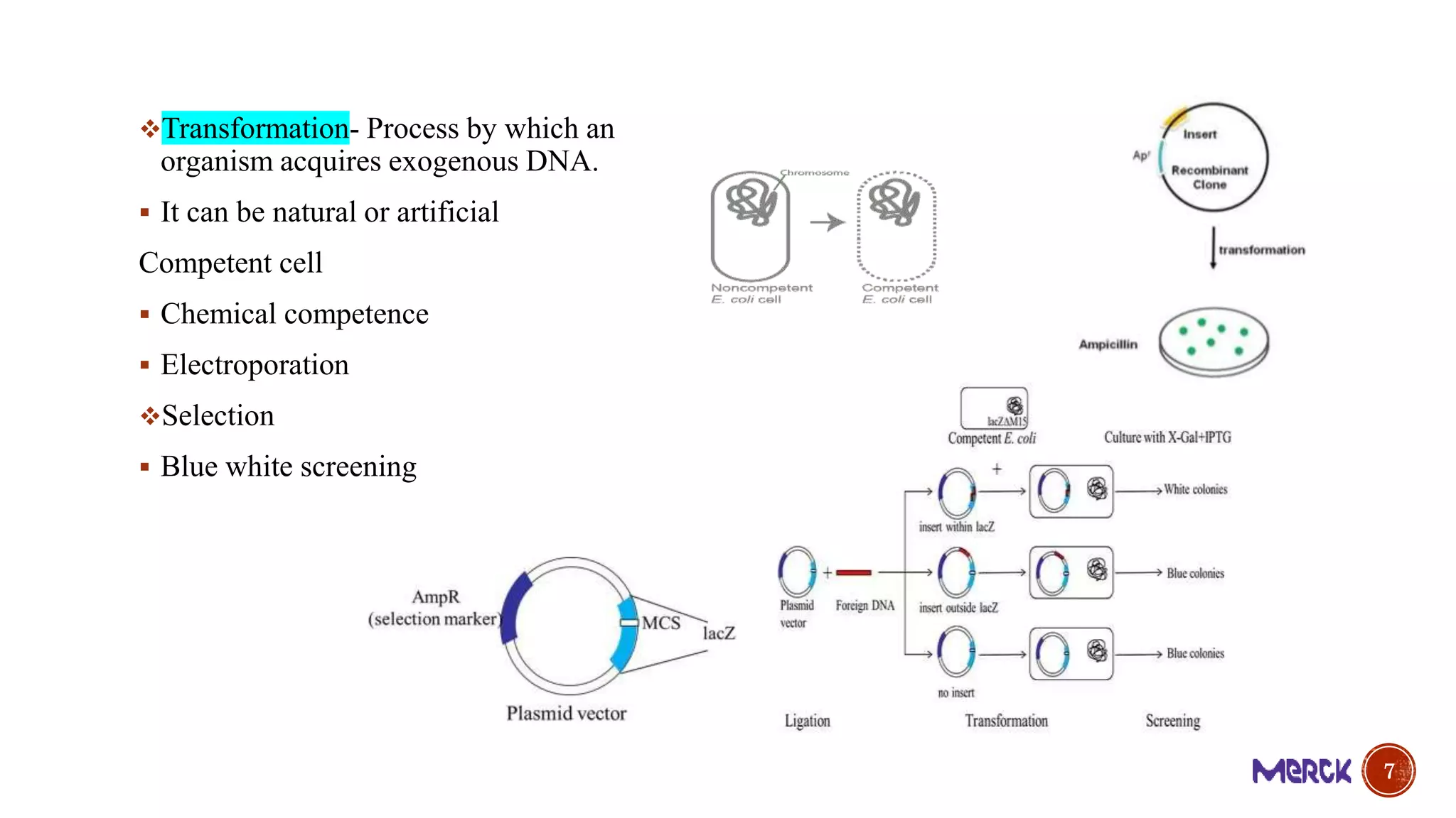 ROLE OF CLONING METHODS IN DRUG DISCOVERY.pptx
