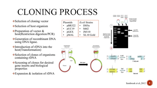 ROLE OF CLONING METHODS IN DRUG DISCOVERY.pptx