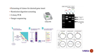 ROLE OF CLONING METHODS IN DRUG DISCOVERY.pptx