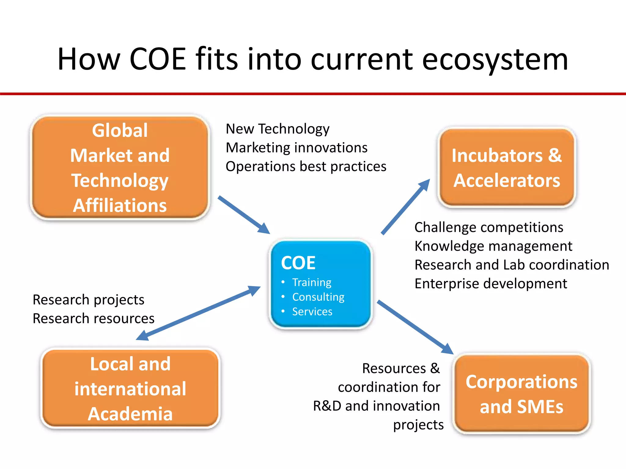 Role of coe in digitalization of pakistan | PPTX