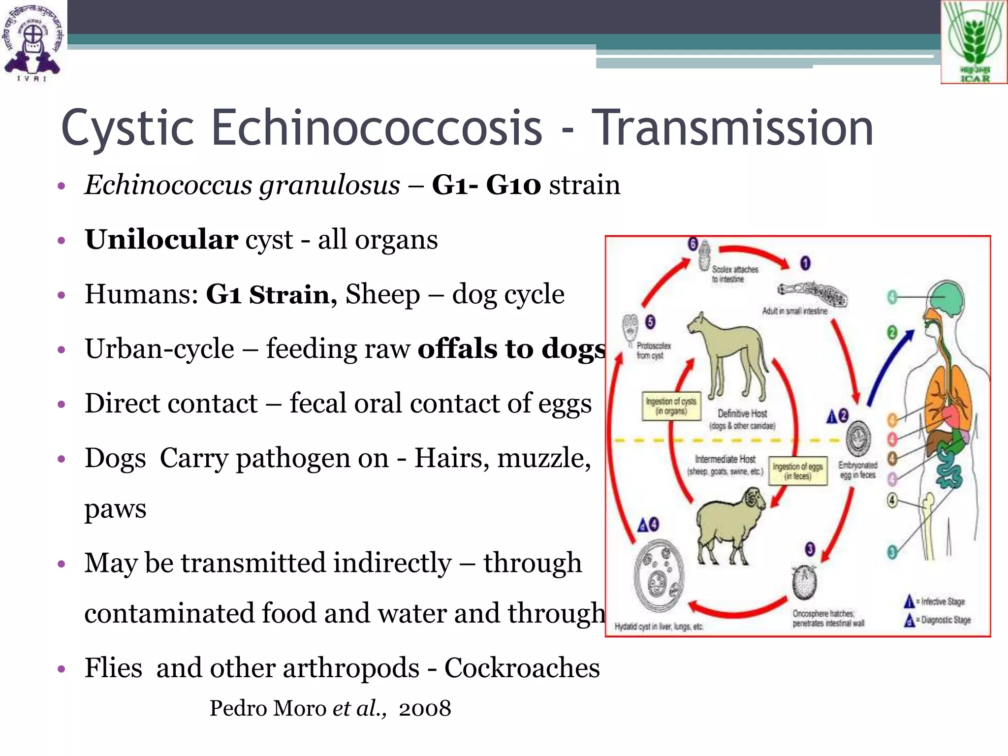 Role of companion animals in emergence and transmission of Parasitic ...