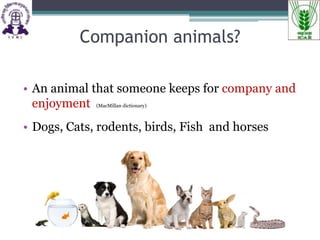 Role of companion animals in emergence and transmission of Parasitic ...