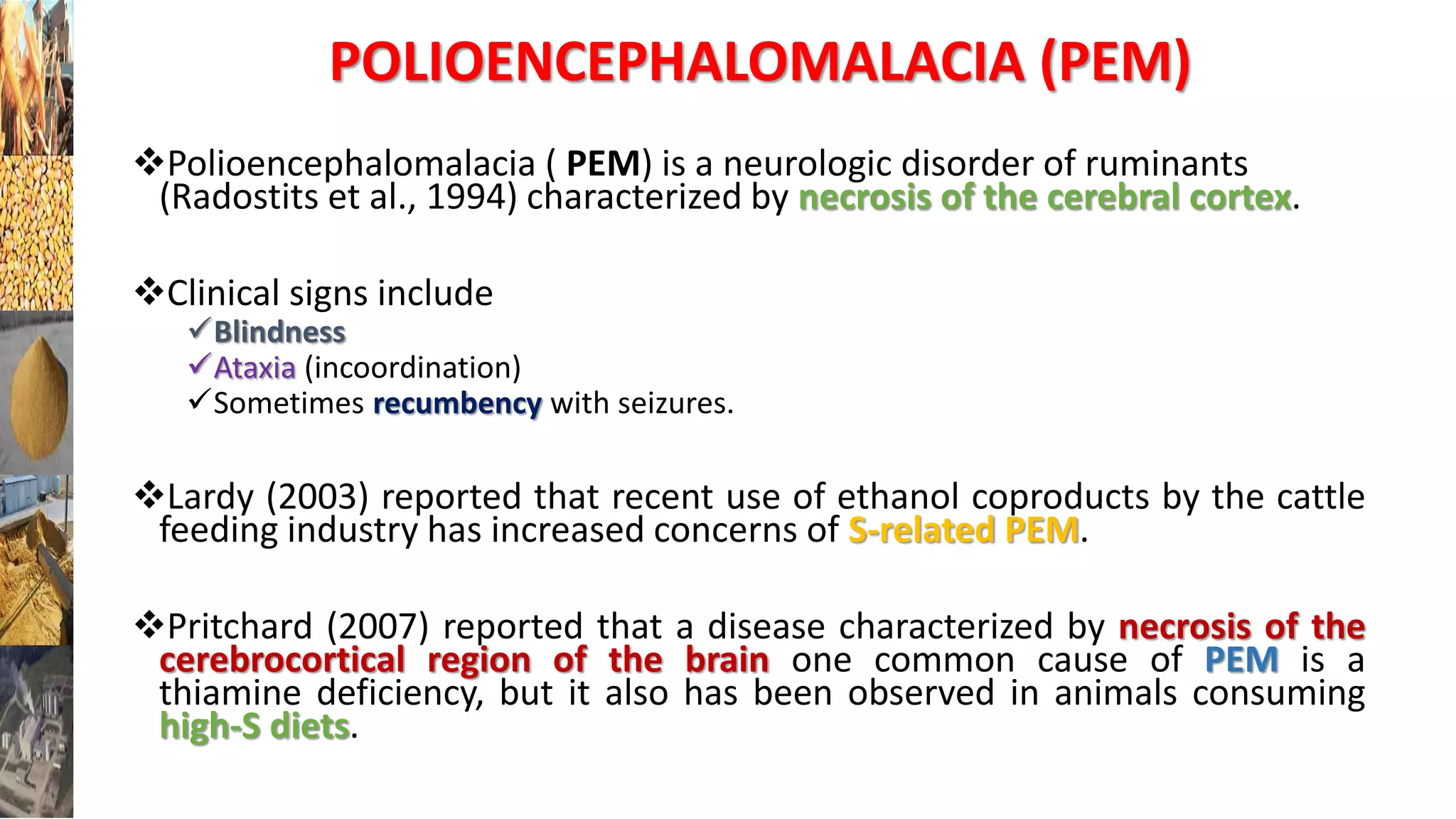 Role of corn distillers by products as feed supplement in ruminants | PPTX
