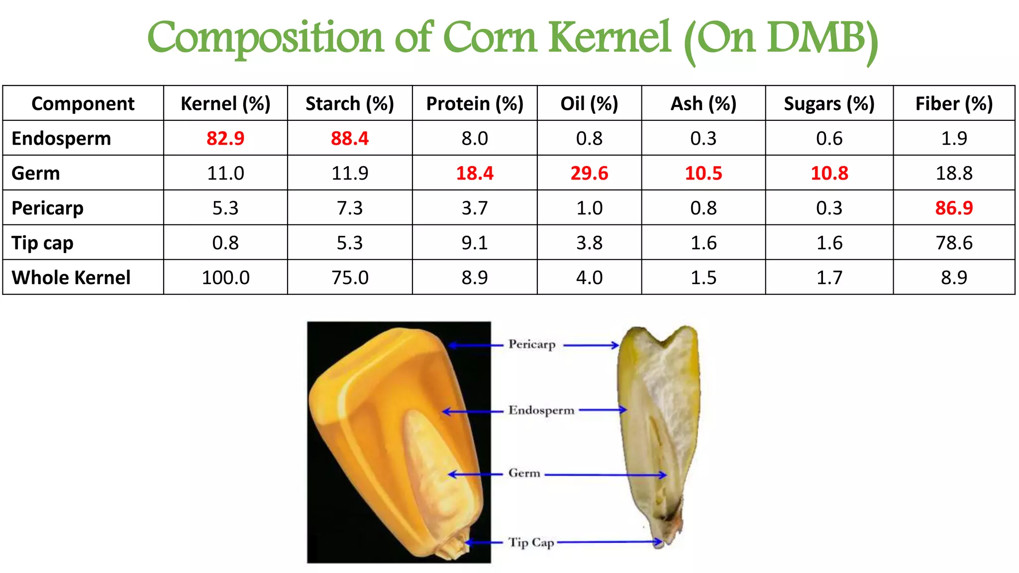 Role of corn distillers by products as feed supplement in ruminants | PPTX