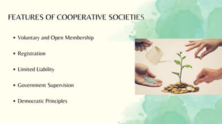 Role of corporative in rural marketing . | PDF