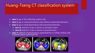 Role of imaging in urosepsis | PPT