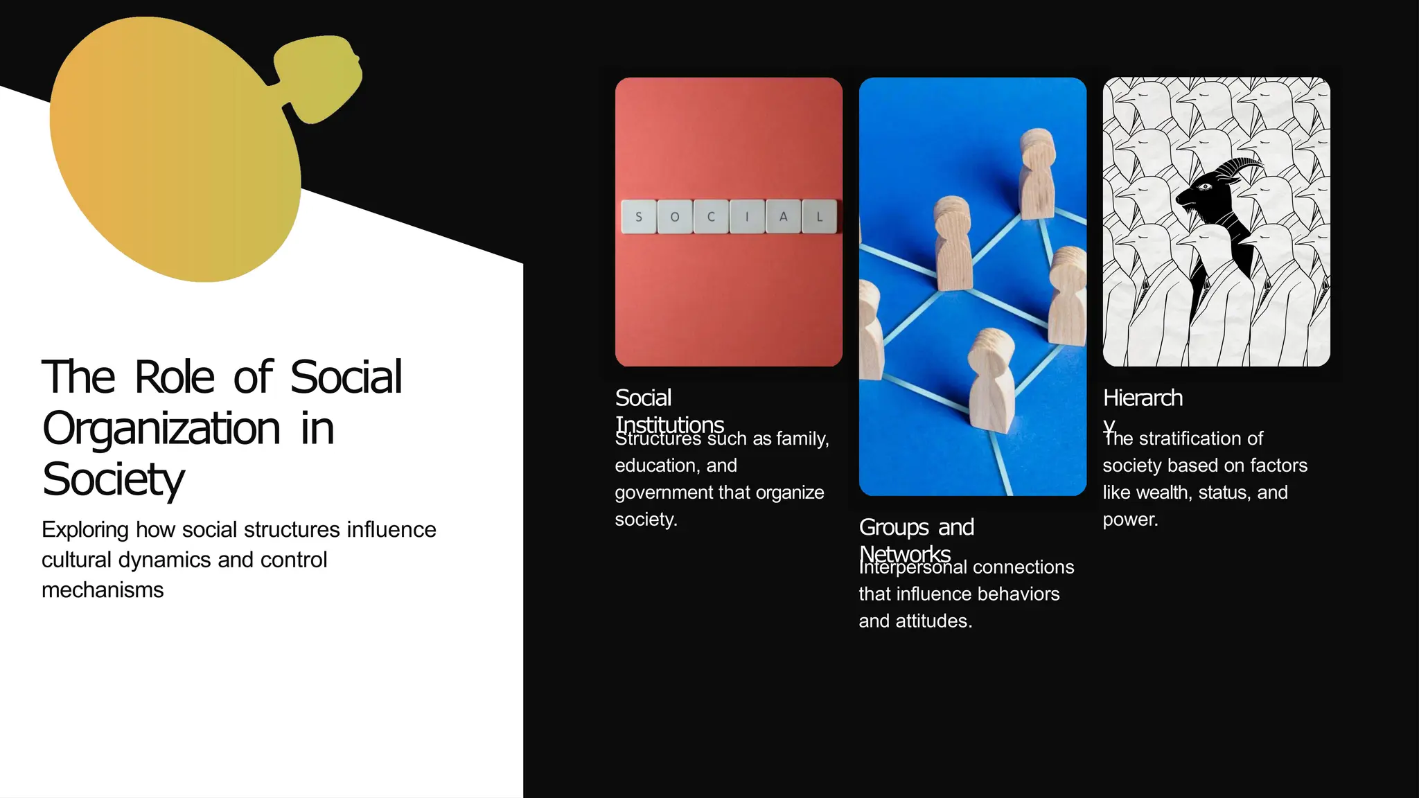 Role of Culture Social Organization Deviancy and Control.pptx